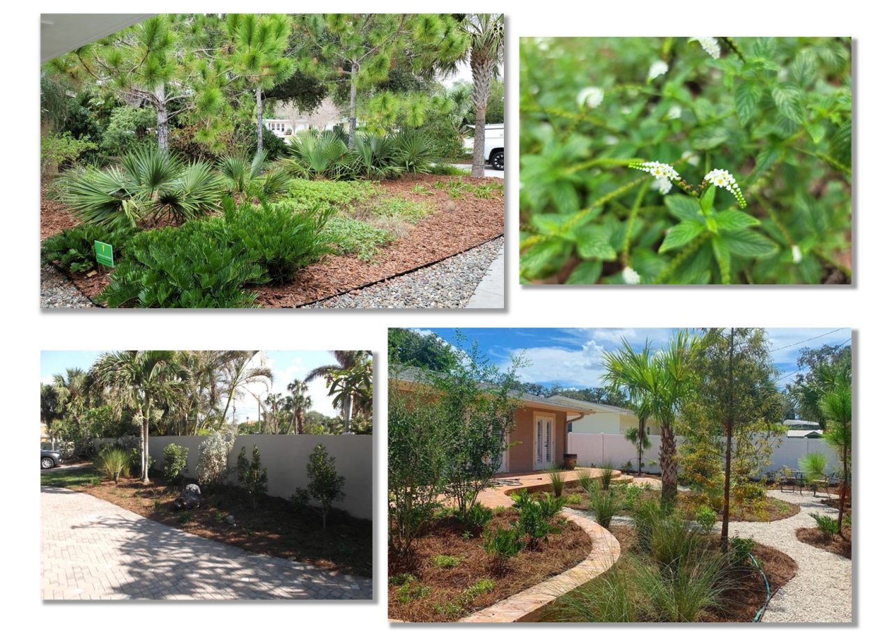 Get Inspired to Create Your Own Native Paradise