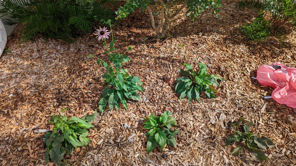 Photos from Our Customers - Wilcox Nursery & Landscape