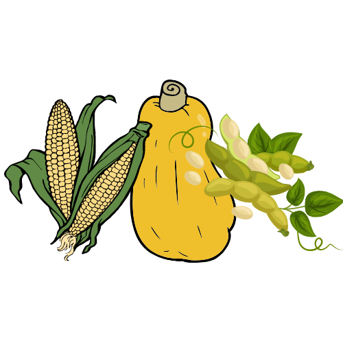 Growing Beans Clipart