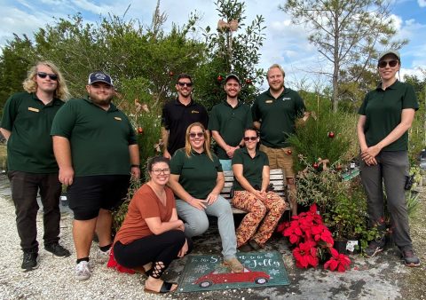 About Wilcox Nursery & Landscape - Largo and St Petersburg