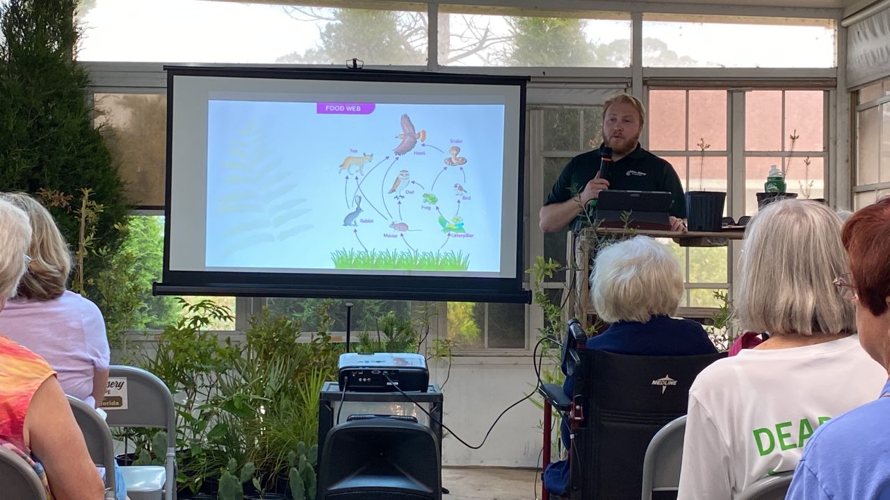 Florida Landscape Ideas & Resources - Wilcox Nursery