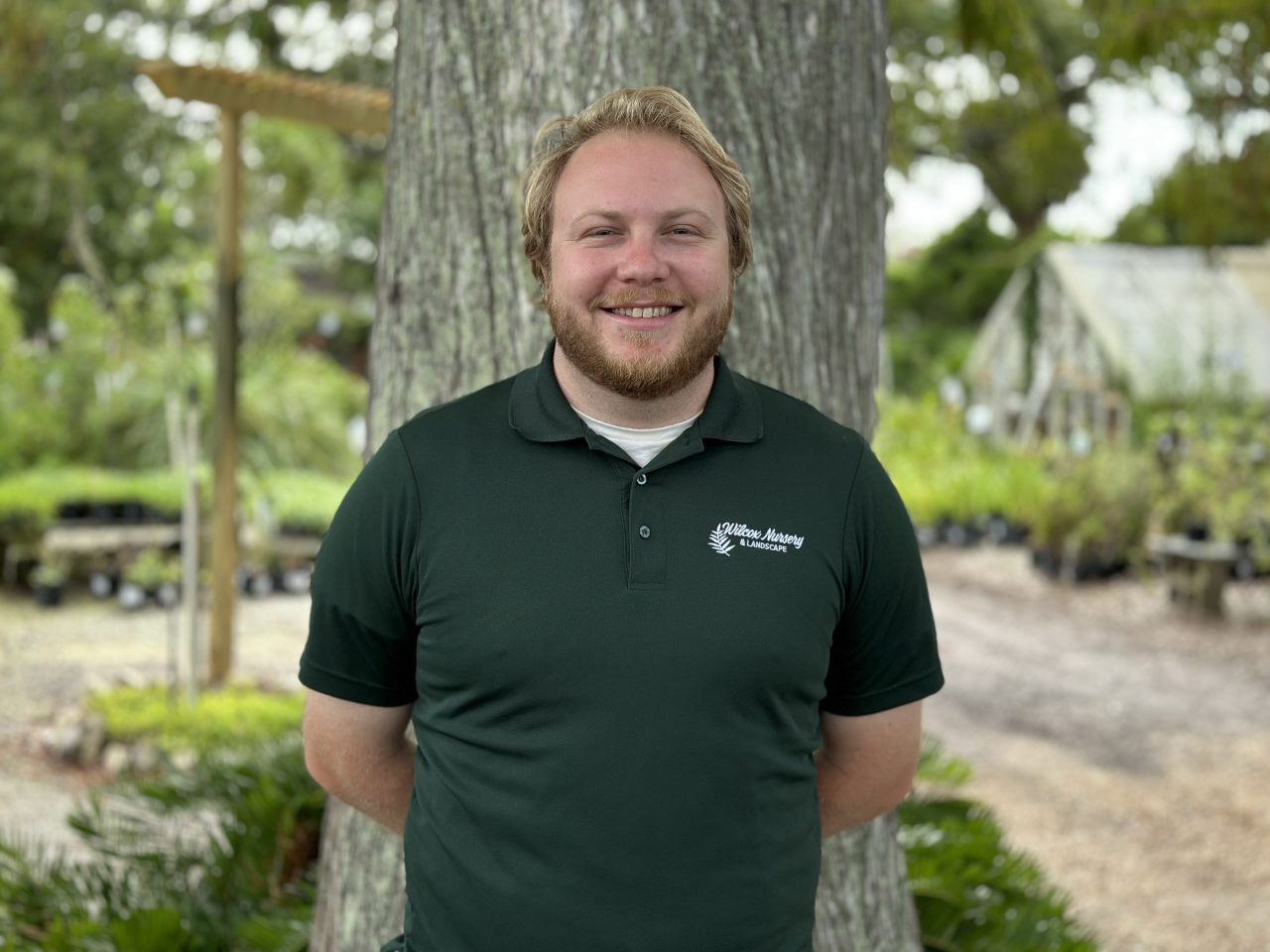 About Wilcox Nursery & Landscape - Largo and St Petersburg