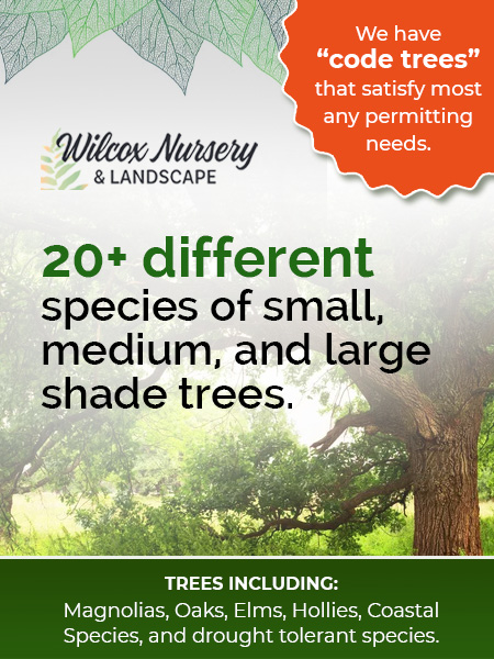 Florida Native Nursery and Landscaping Services - Largo and St ...
