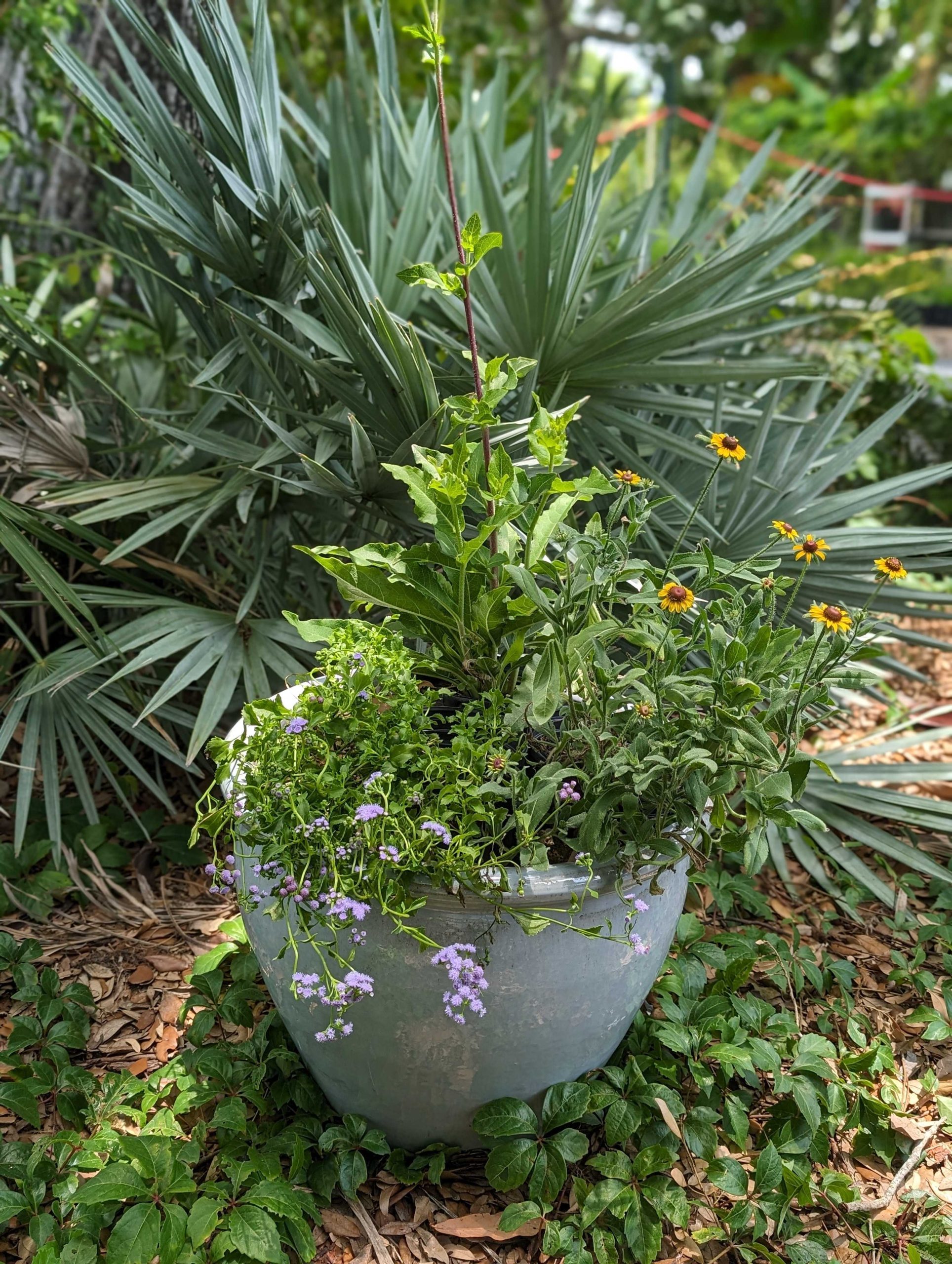 Flock Talk Avian Oasis Planter Workshop
