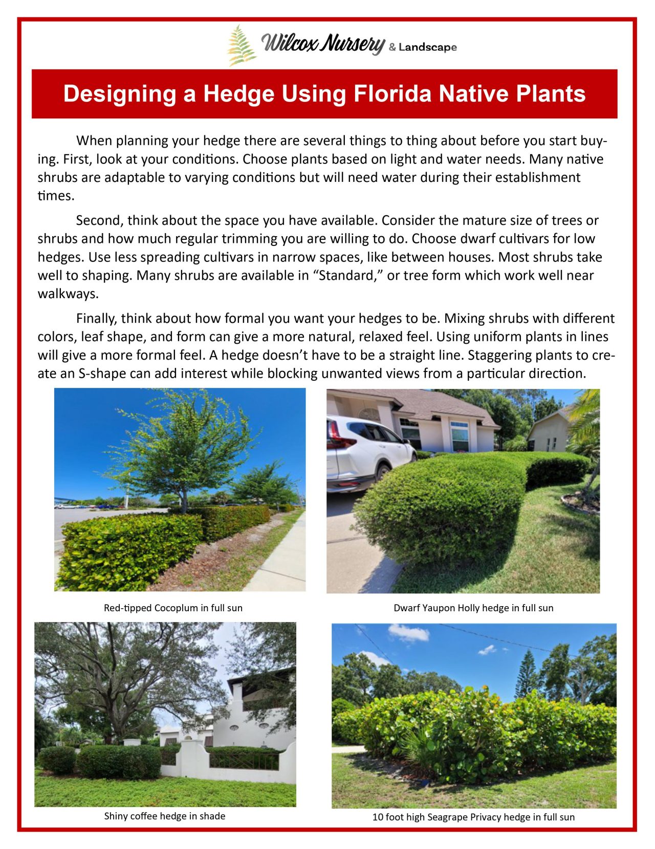 Resource Library - Florida Native Nursery and Landscaping Services ...