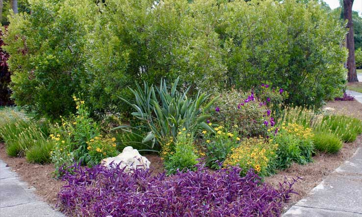 Landscape Garden Maintenance - Florida Native Nursery and Landscaping ...